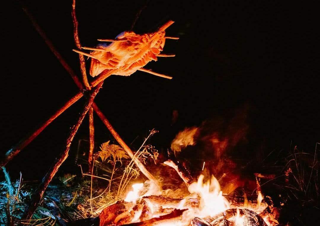 How To Cook a Fish on a Campfire - We Are Explorers