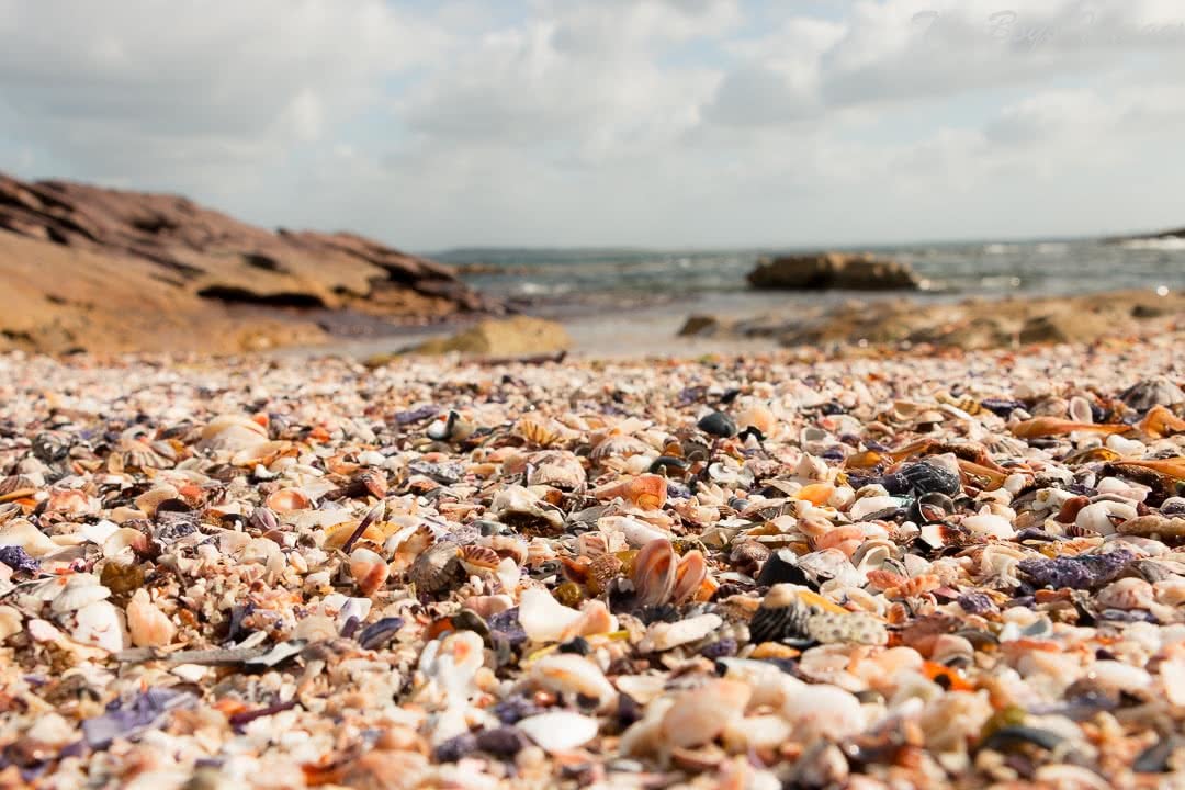 Take the Whole Family Hiking on the Jibbon Track - We Are Explorers