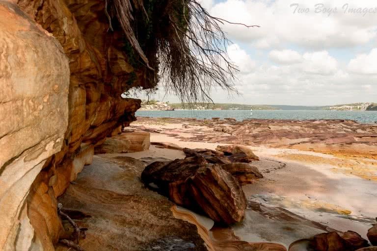 Take the Whole Family Hiking on the Jibbon Track - We Are Explorers