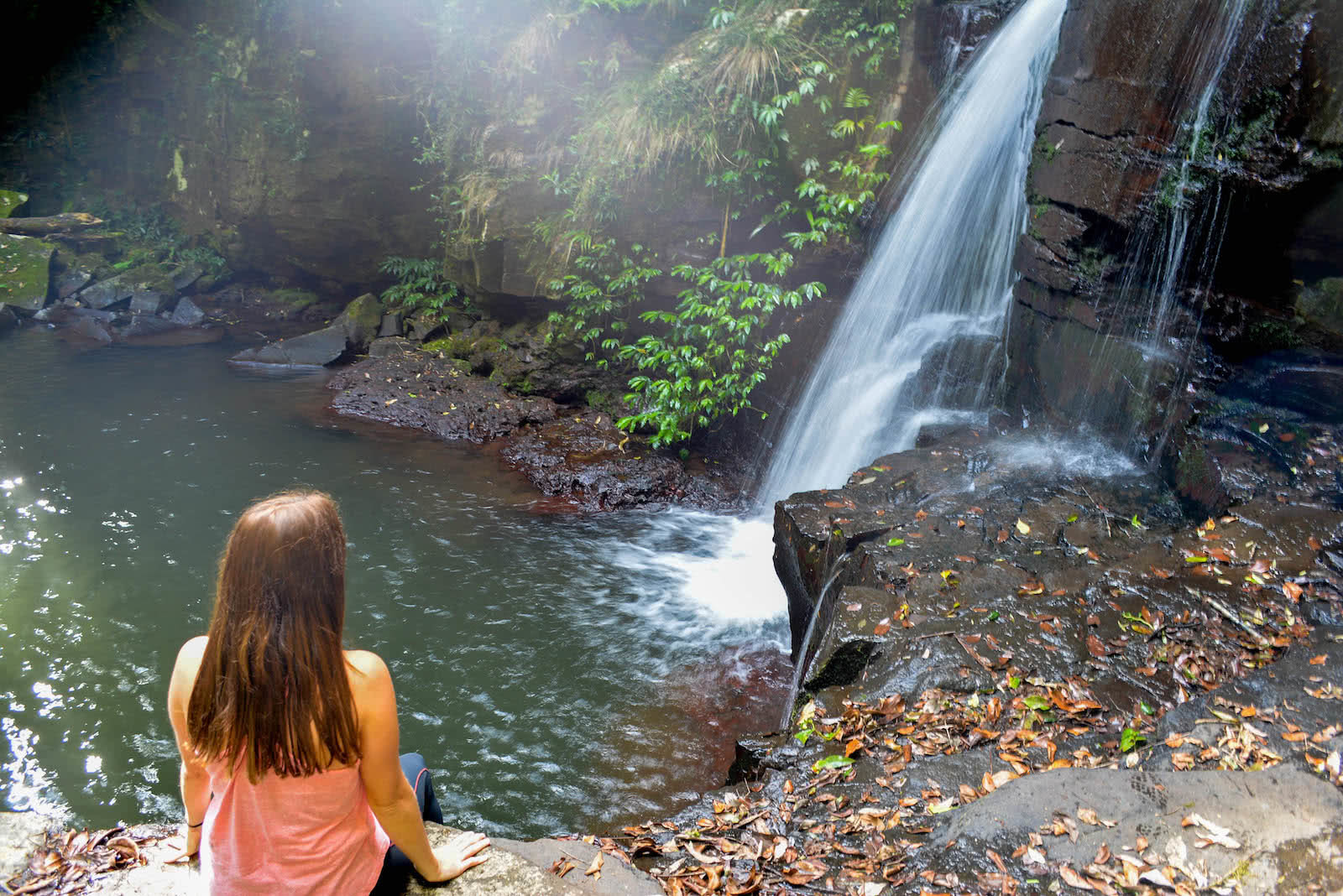 Coomera Circuit in Lamington National Park – We Are Explorers
