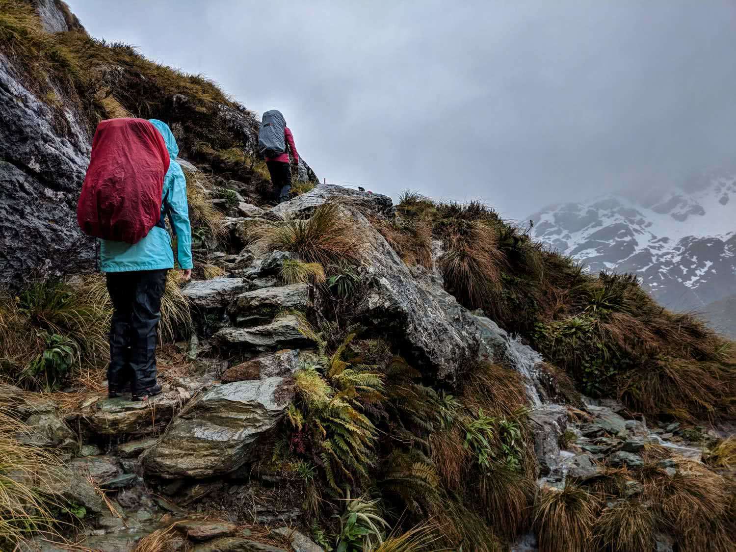 7 Tips For Rainy Day Hiking - We Are Explorers