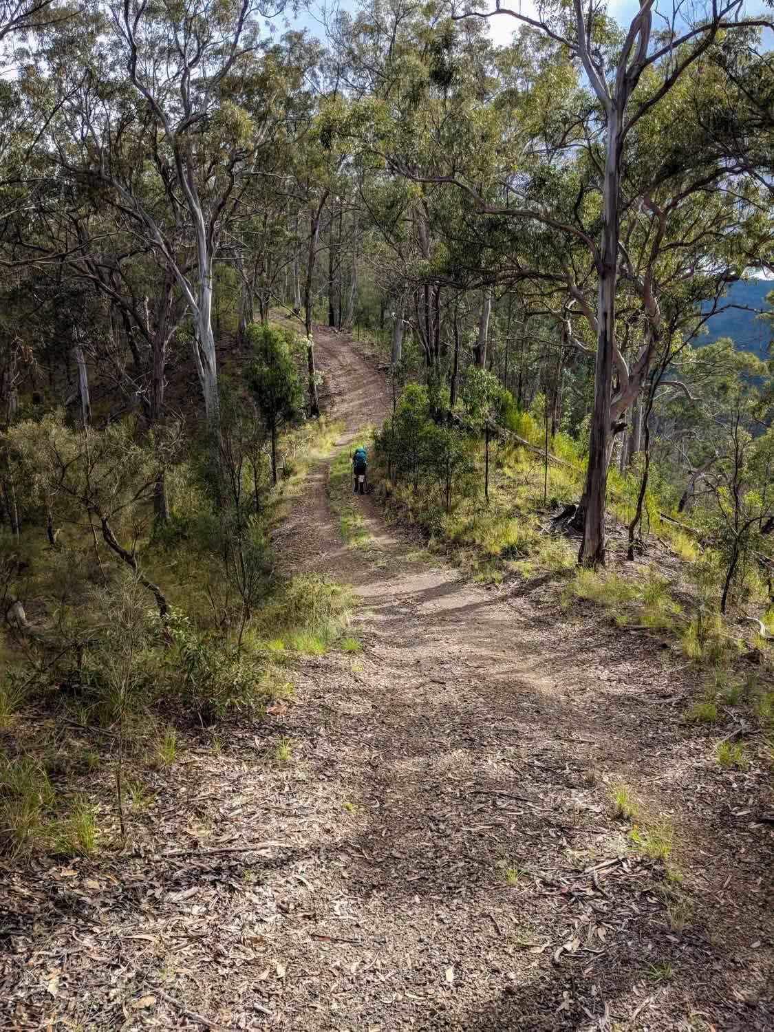 10 Hiking Lessons Learnt On The Green Gully Track - We Are Explorers