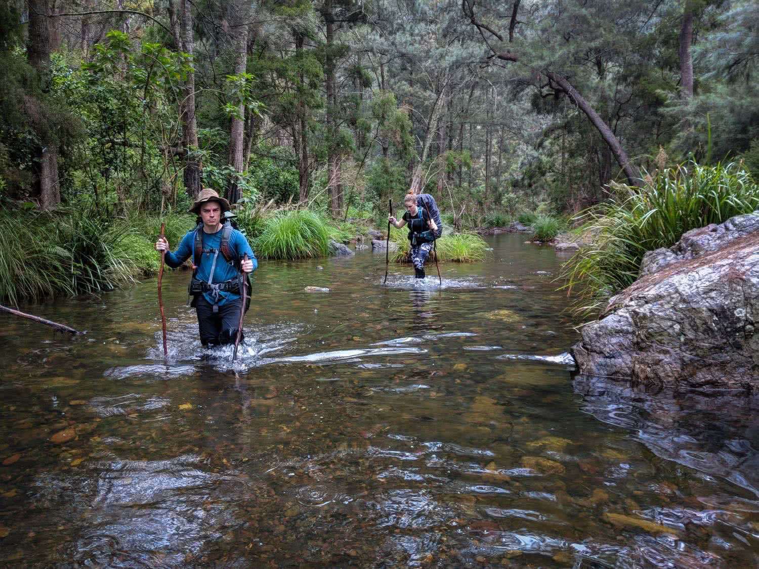 10 Hiking Lessons Learnt On The Green Gully Track - We Are Explorers