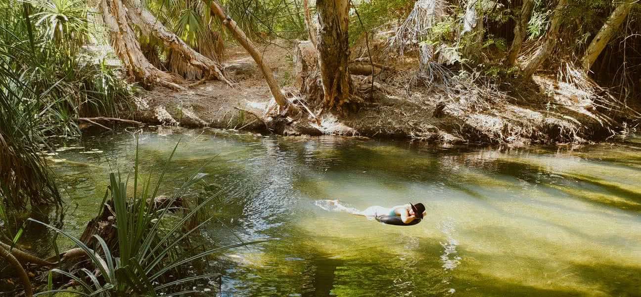 Adels Grove is an Unexpected Oasis in Outback Queensland - We Are Explorers