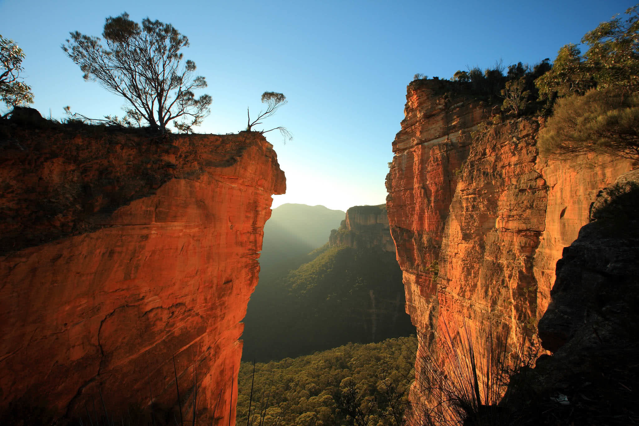 Best Hikes in the Blue Mountains 2023 - We Are Explorers