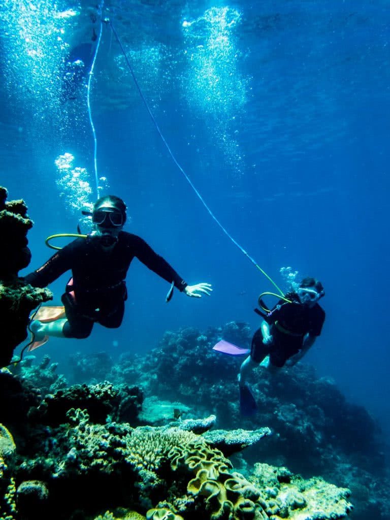 SNUBA Adventure in Great Barrier Reef
