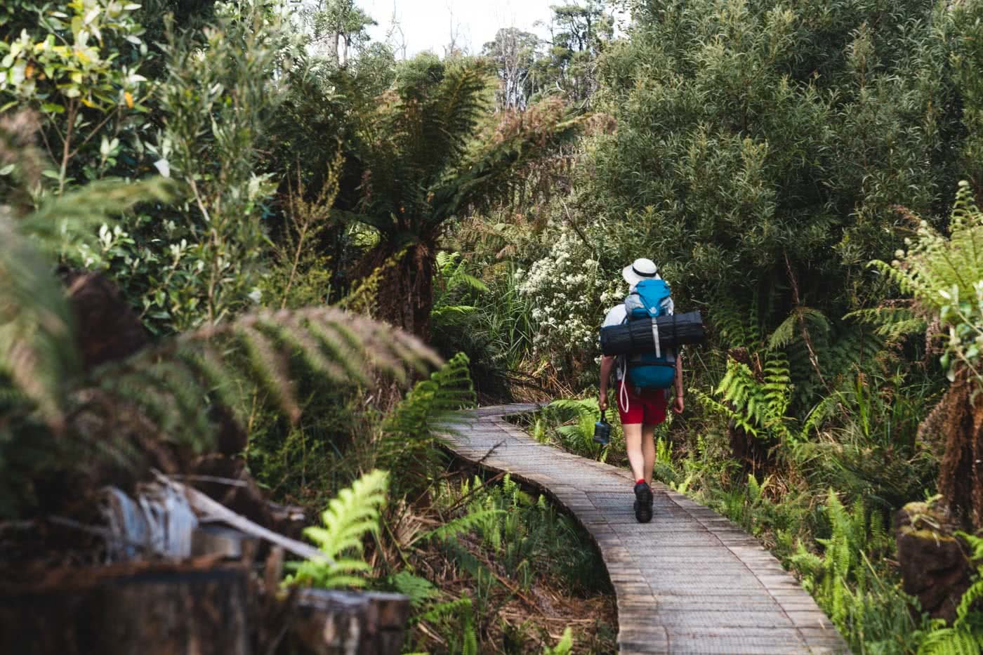 9 Best Multi-Day Hikes in Victoria 2023 - We Are Explorers