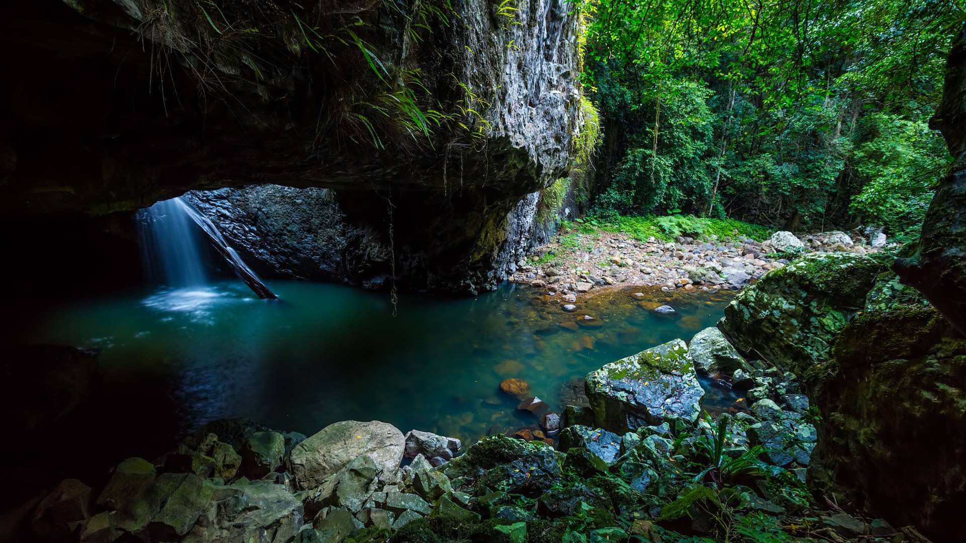 Chase 4 Waterfalls in 1 Day at Springbrook National Park - We Are Explorers