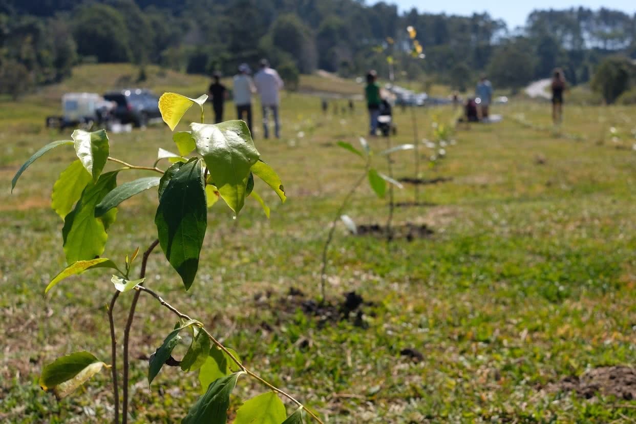 Get Down And Dirty With Other Singles at Speed Planting - We Are Explorers