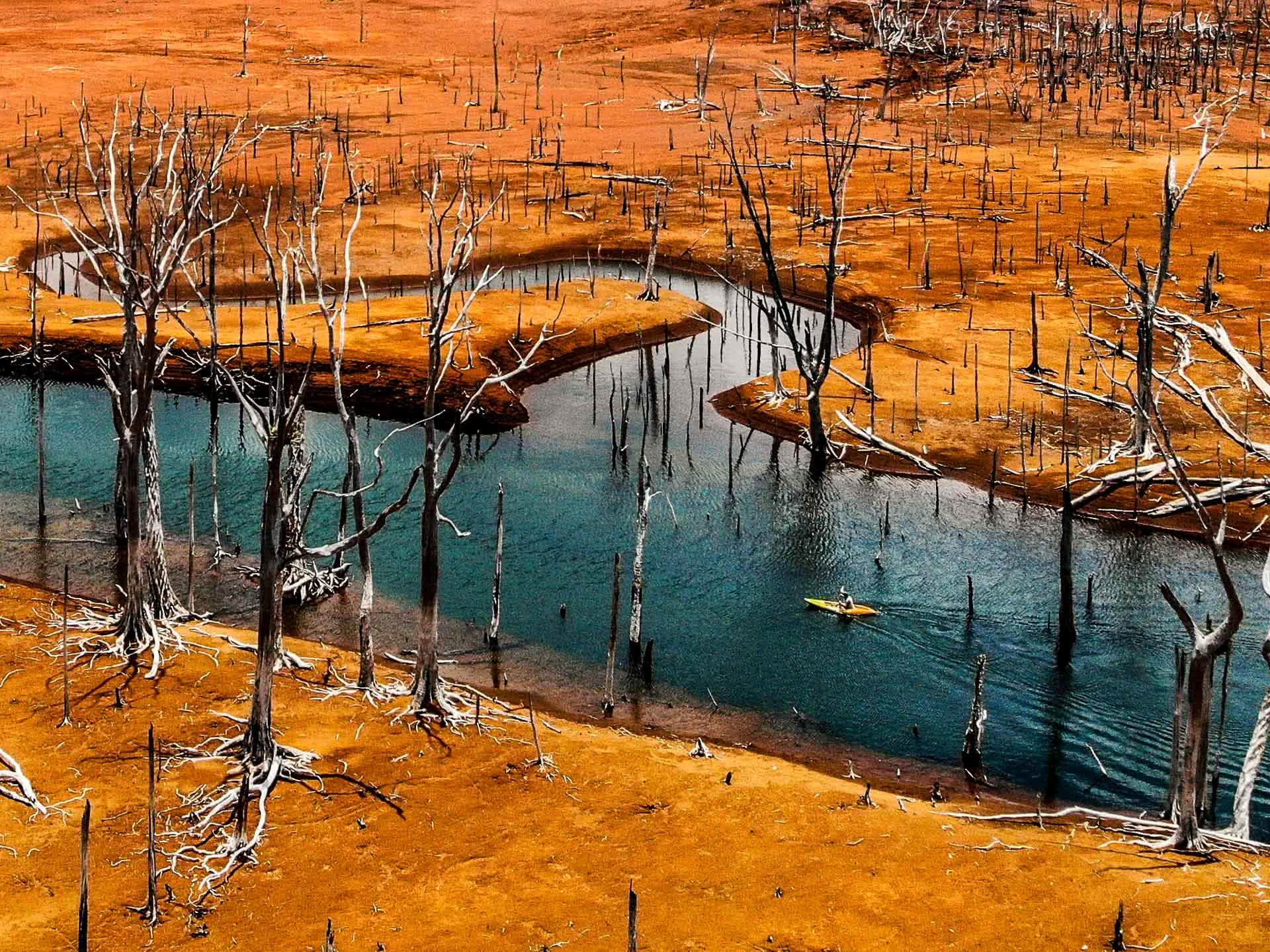 Kayak Through the Drowned Forest in Blue River National Park - We Are ...