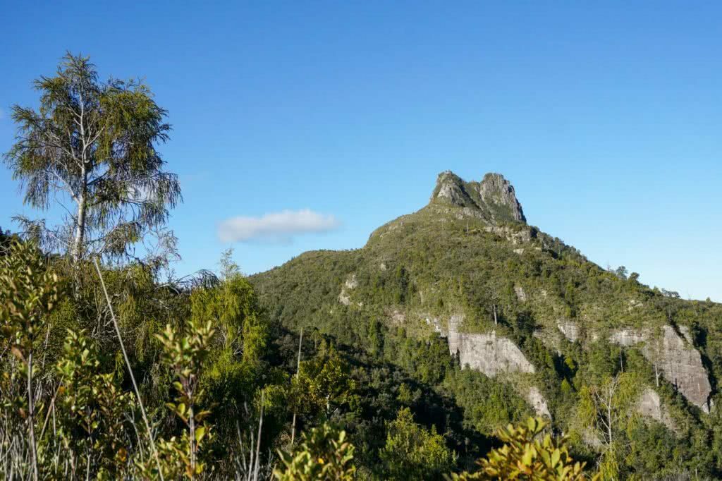Exploring The Pinnacles Hut in New Zealand