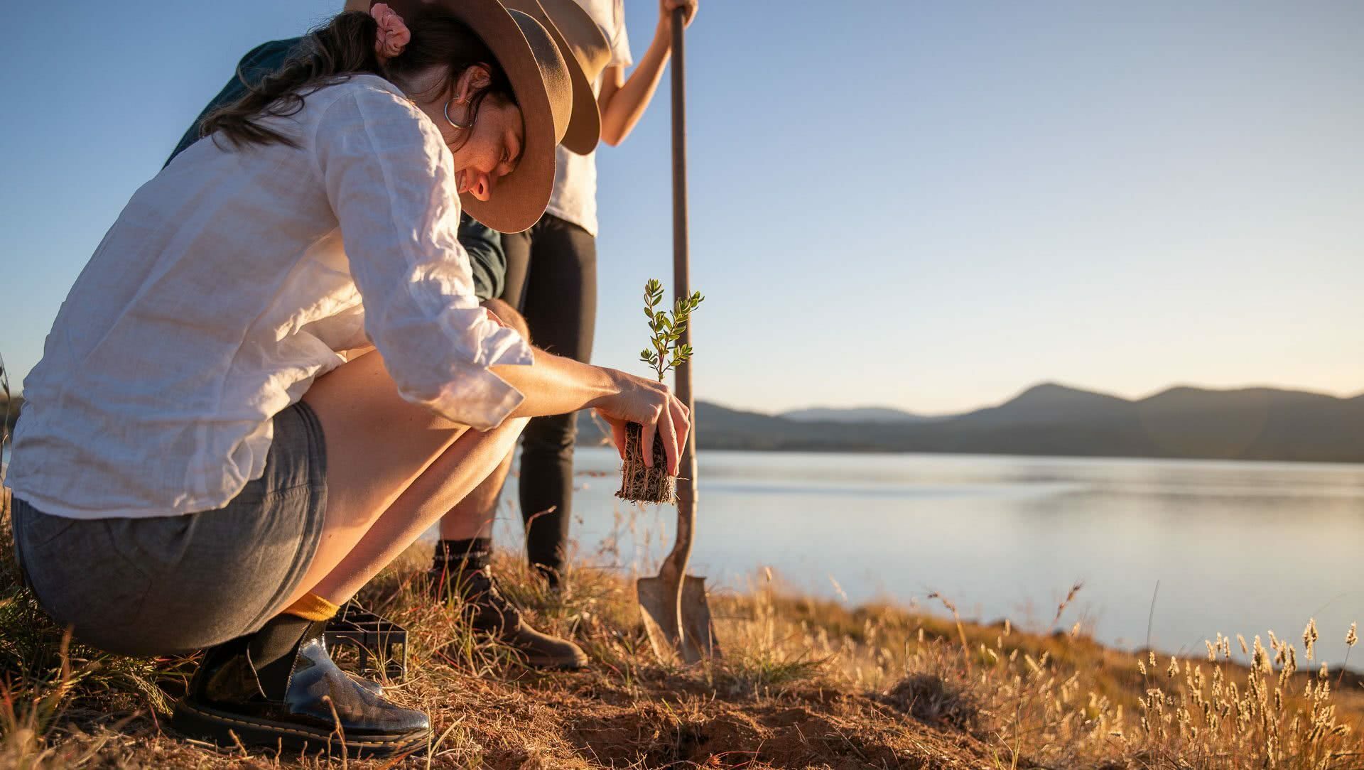 How Does Tree Planting Work to Restore the Planet? - We Are Explorers