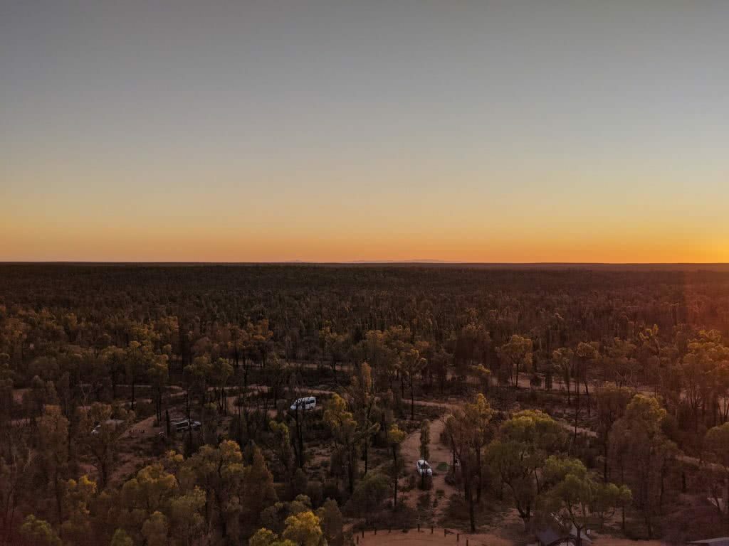 Pilliga Forest is Where Nature and Culture Collide - We Are Explorers