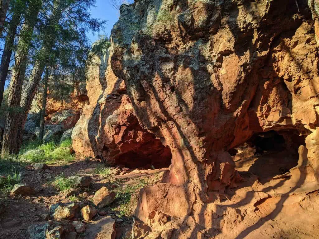 Pilliga Forest is Where Nature and Culture Collide - We Are Explorers