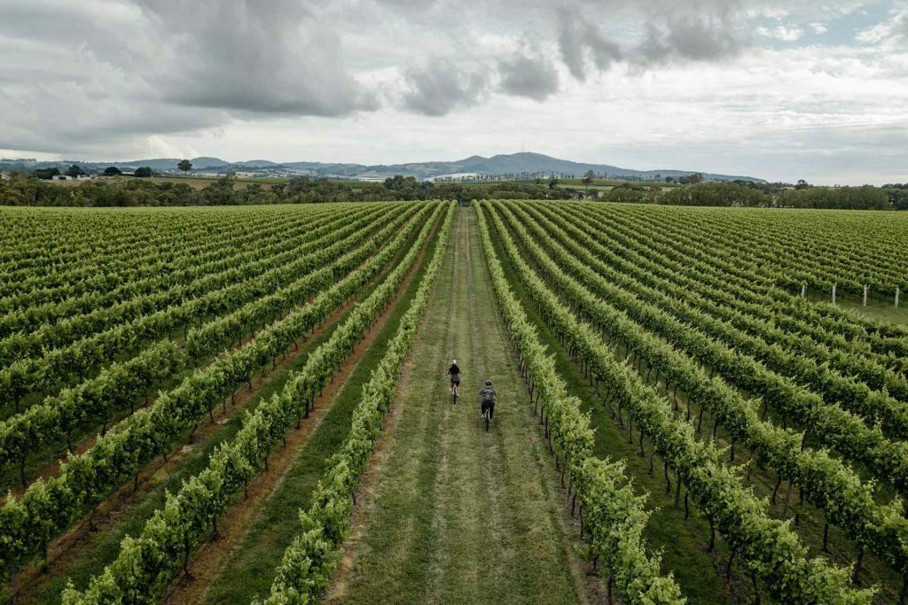 Love Wine, Fancy Snacks, and Adventures? Head Straight to Orange! - We ...