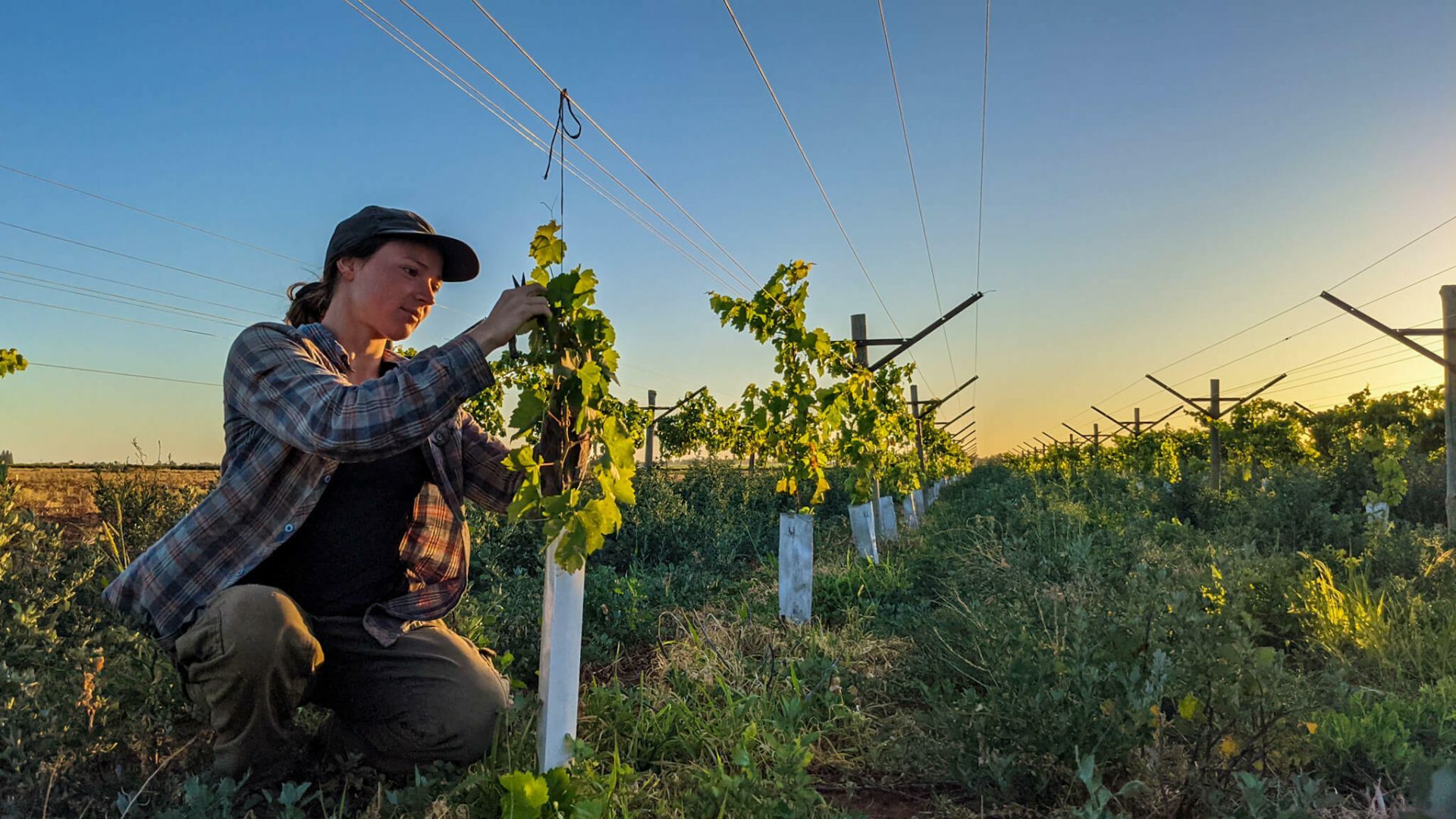 What it's Like to Move to The Countryside And Work on a Farm - We Are ...