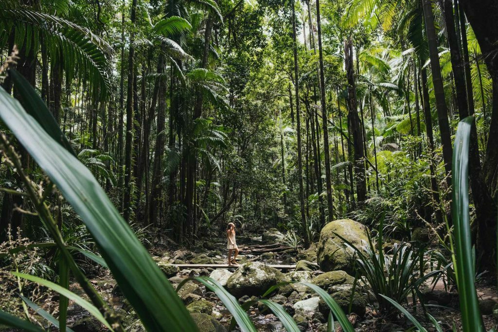 The Northern NSW Gems You Probably Missed on Your Last Road Trip - We ...