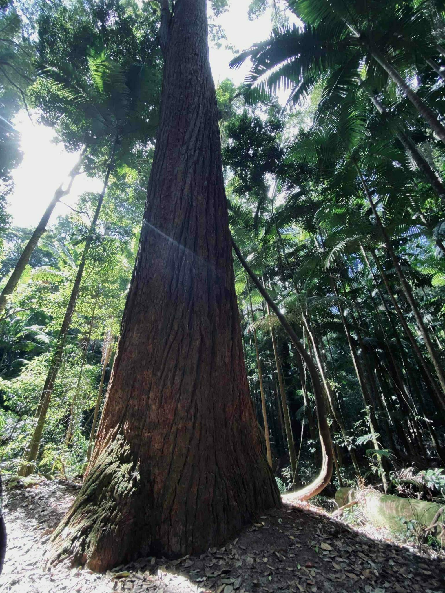 3 Days on The Great Southern Lakes Hike of K'gari / Fraser Island - We ...