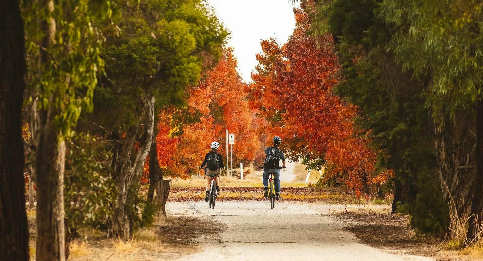 Welcome to Wangaratta - We Are Explorers