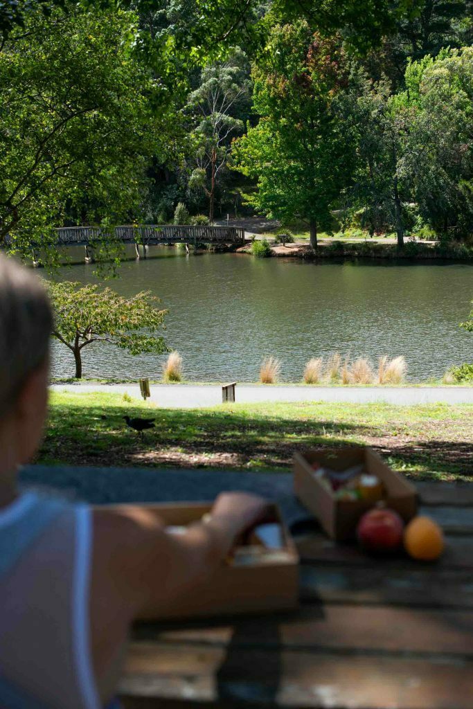 Victoria Has a New 72km Walk Through the Dandenong Ranges - We Are ...