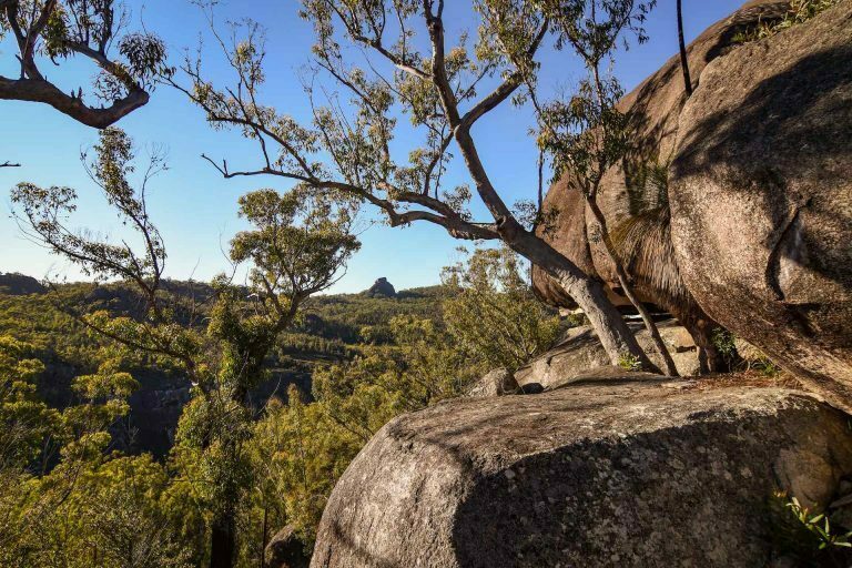Exploring Gibraltar Range National Park on Foot - We Are Explorers
