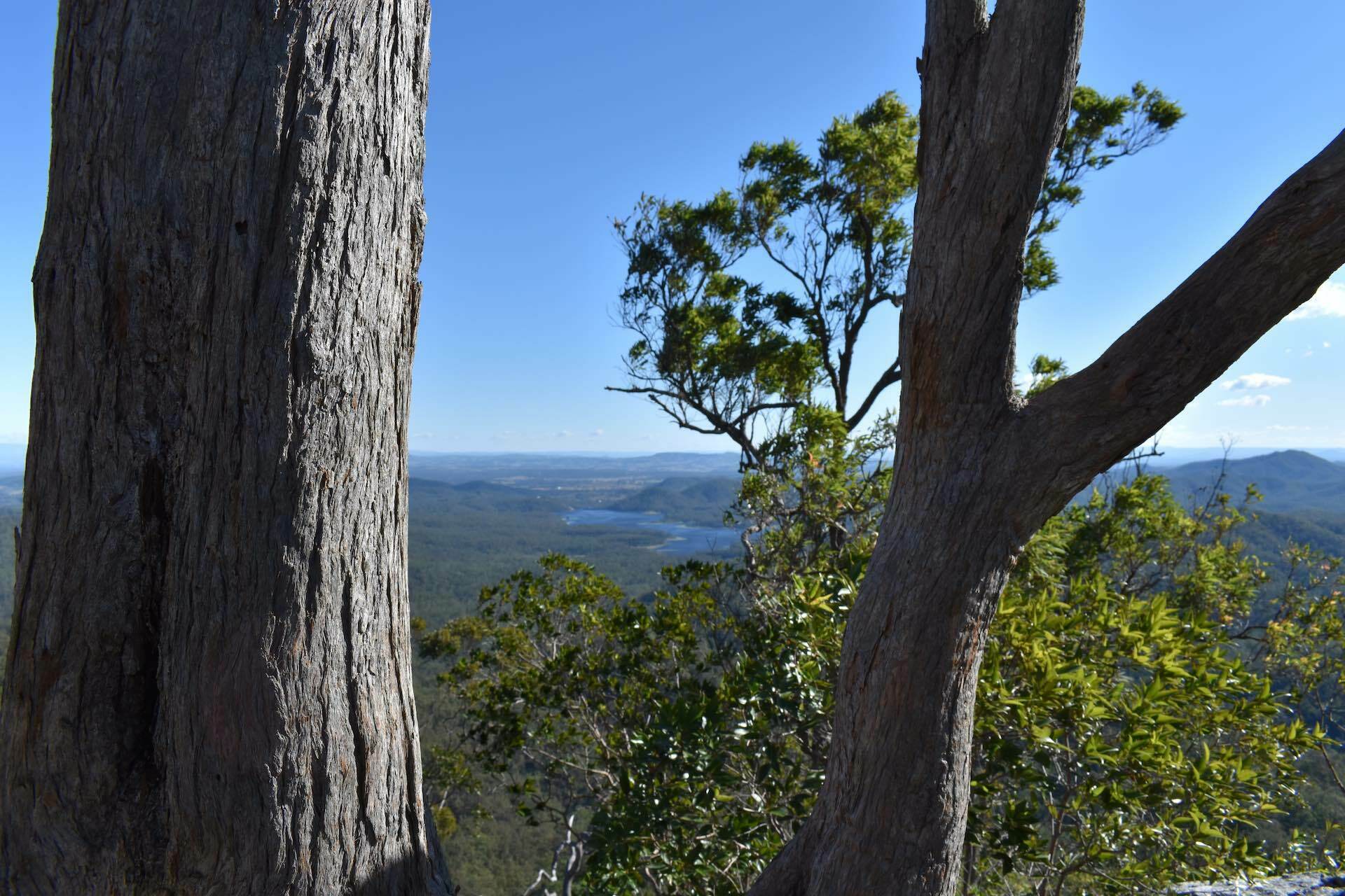 Mermaid Mountain is One of Brisbane’s Most Well-hidden Hikes - We Are ...