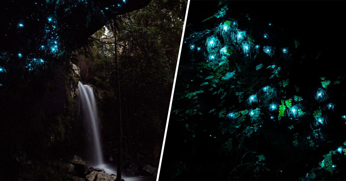 How and Why to Explore at Night - We Are Explorers