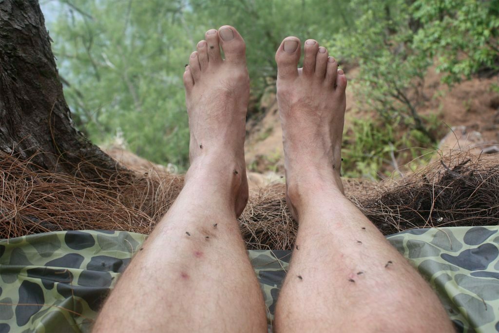 Gear (and Other Hacks) to Help Beat the Heat - We Are Explorers