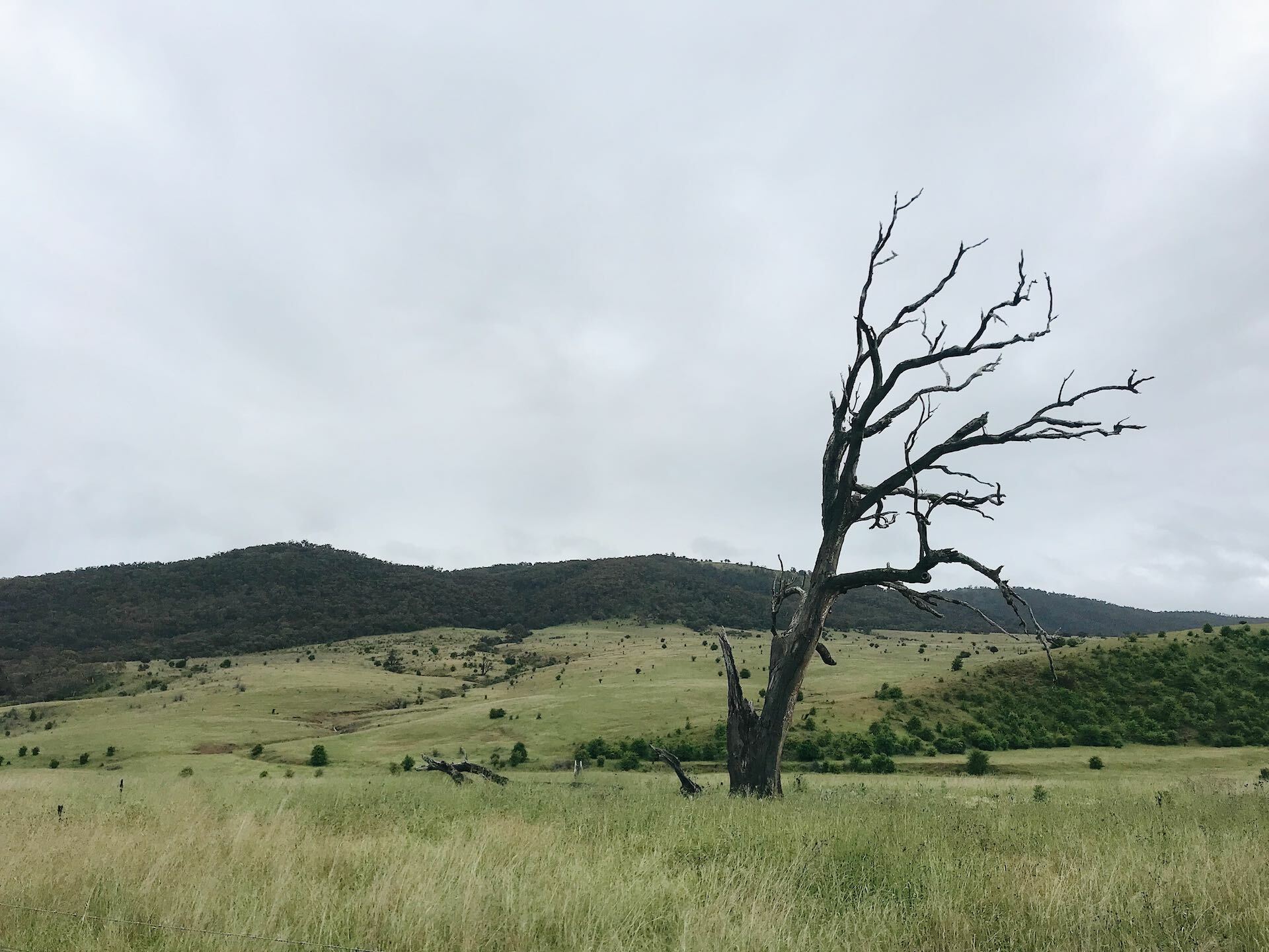 Bikepacking the Bundian Way From Summit to Sea - We Are Explorers