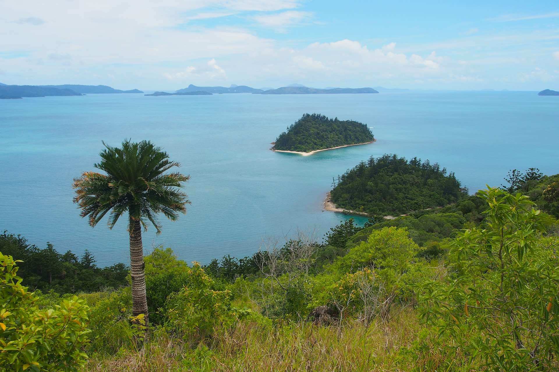 South Molle Island is Where Deserted Island Fantasies Come to Life - We ...