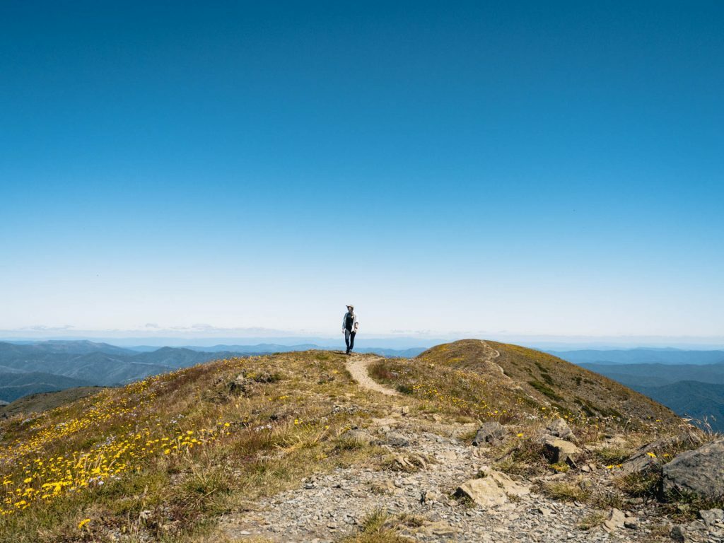 Hiking Mount Feathertop via Northwest Spur in Alpine National Park - We ...