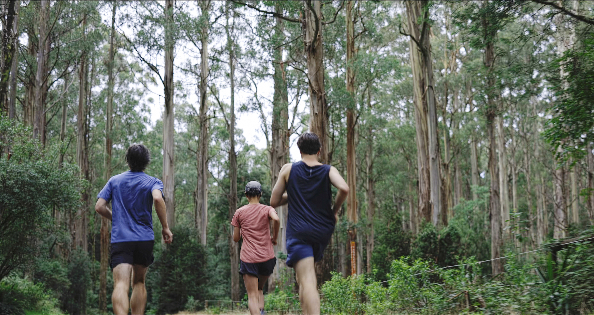This New Trail Marathon Raises Funds to Save Victoria's Forests - We ...
