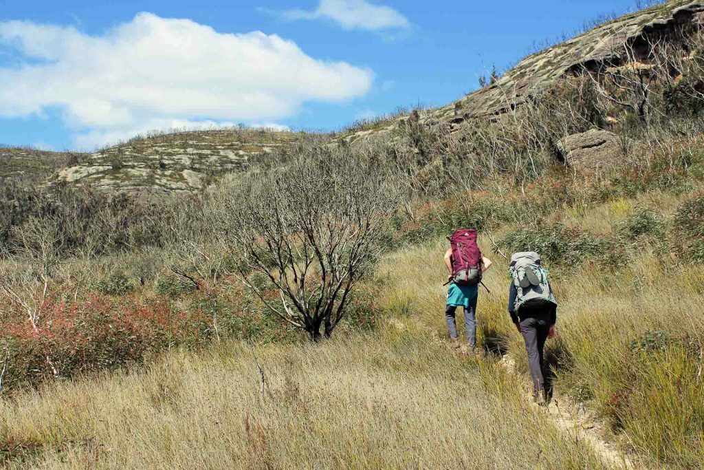 Hiking Wog Wog Campground to Cooyoyo Campground and The Castle - We Are ...
