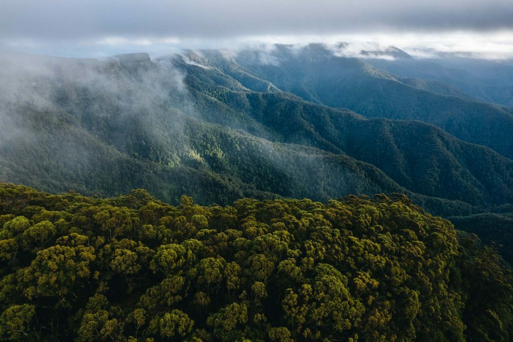 Waterfall Way Dreaming: Important Ways To Engage With Gumbaynggirr ...
