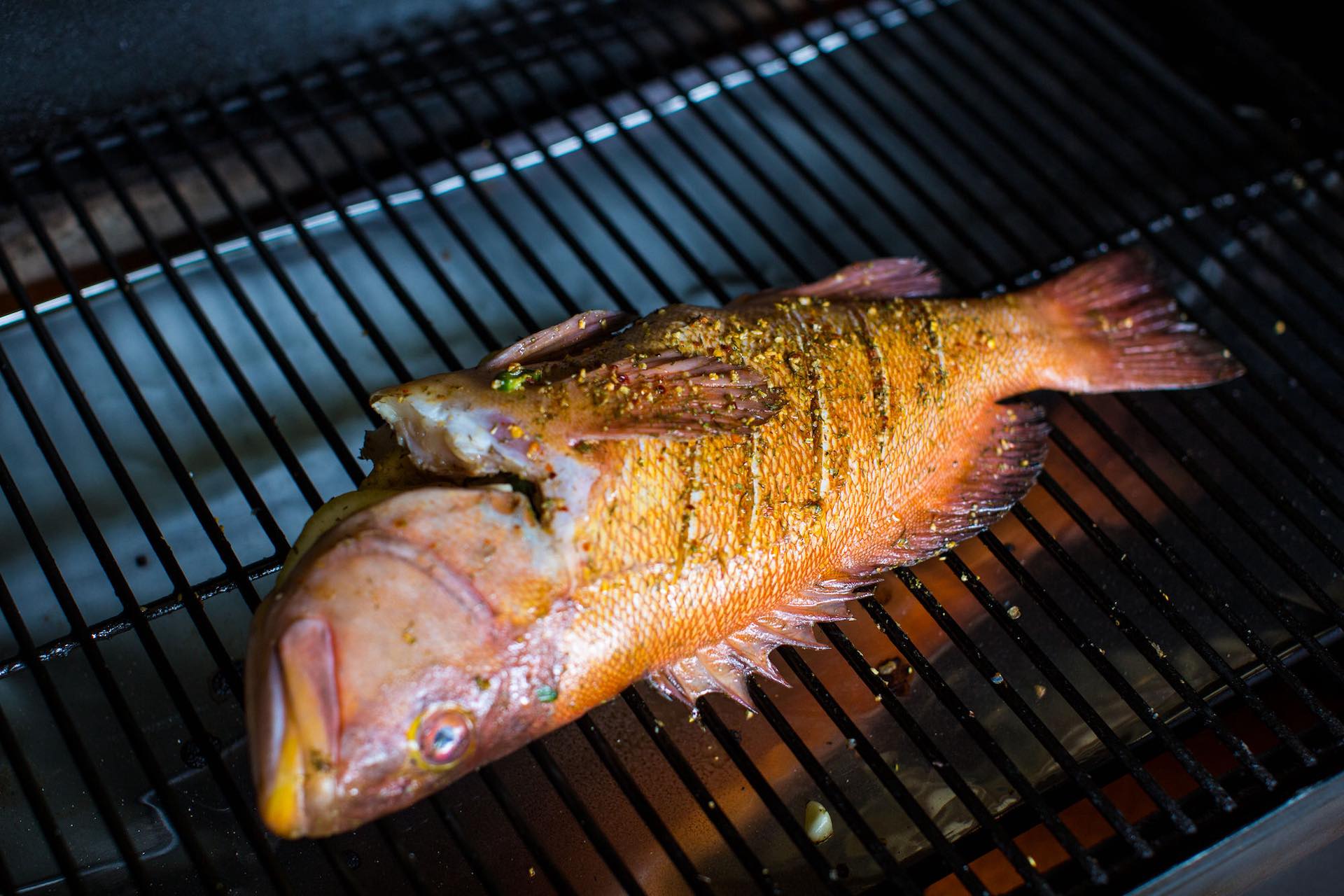 Whole Fish With Cherry Tomatoes, Broccolini, and Tartar Sauce - We Are ...