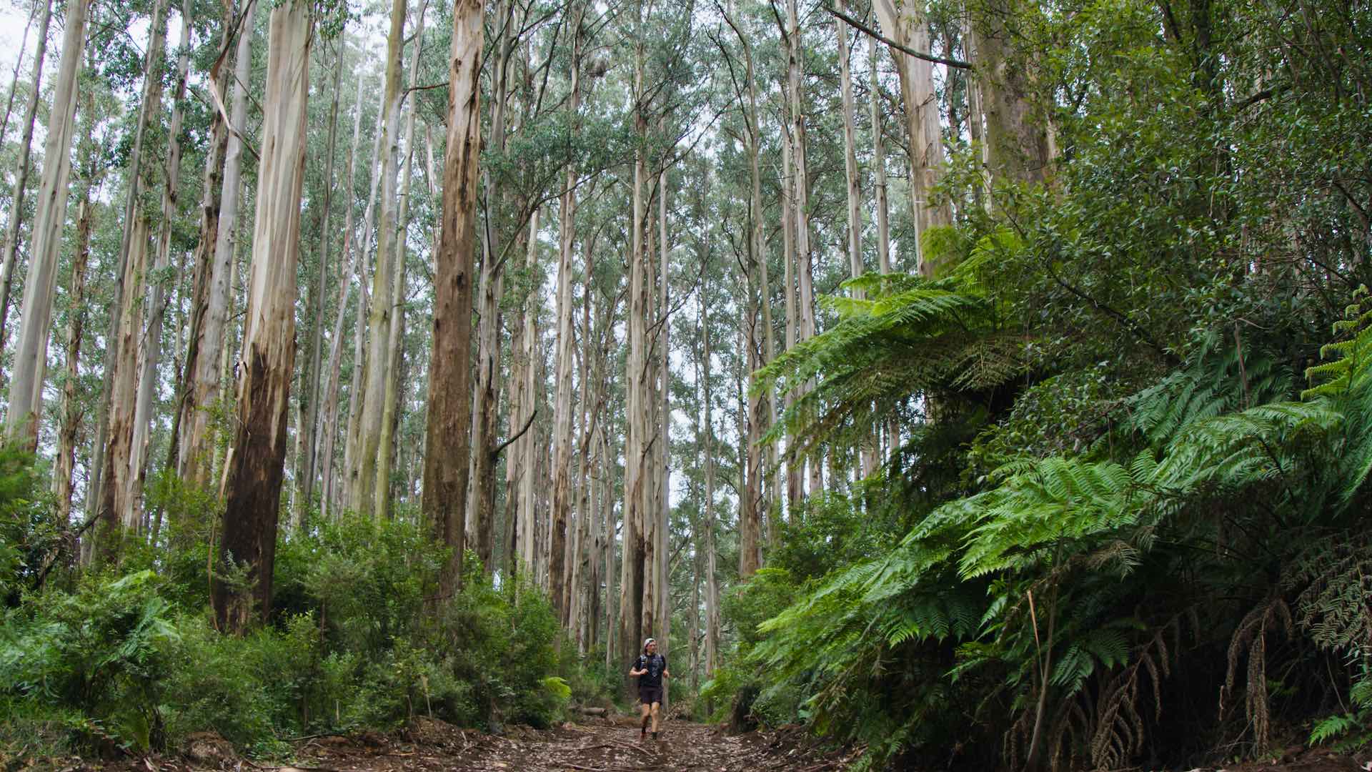 Watch Patagonia’s ‘End to an End’ Episode 1 Online Now For Free - We ...