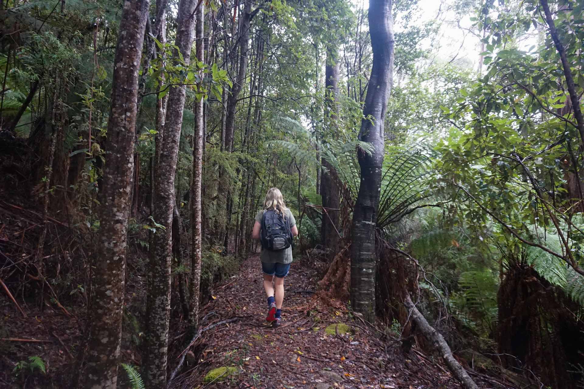 10 Lesser-Known Places To Explore on Tasmania’s East Coast - We Are ...