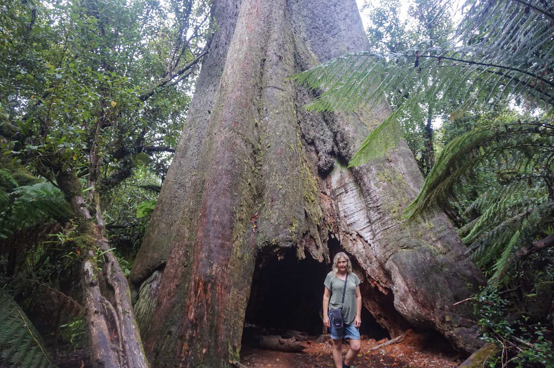 10 Lesser-Known Places To Explore on Tasmania’s East Coast - We Are ...