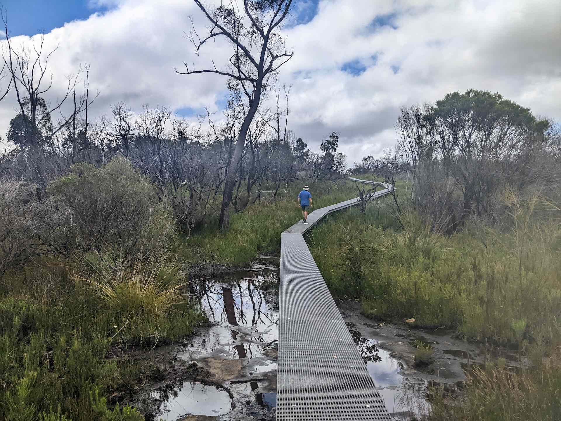 Mt Bushwalker – An Easy Stroll to an Unforgettable Lookout on NSW’s ...