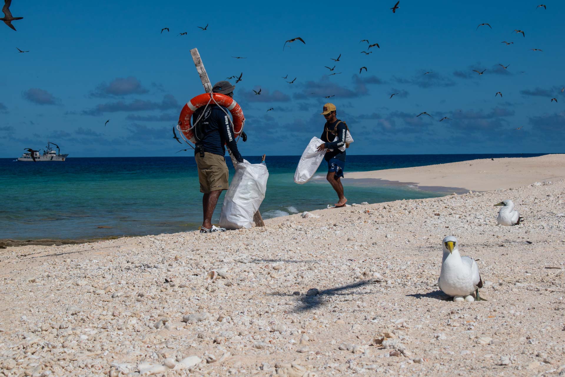 I Spent 2 Weeks Picking Up Rubbish in the Coral Sea - We Are Explorers