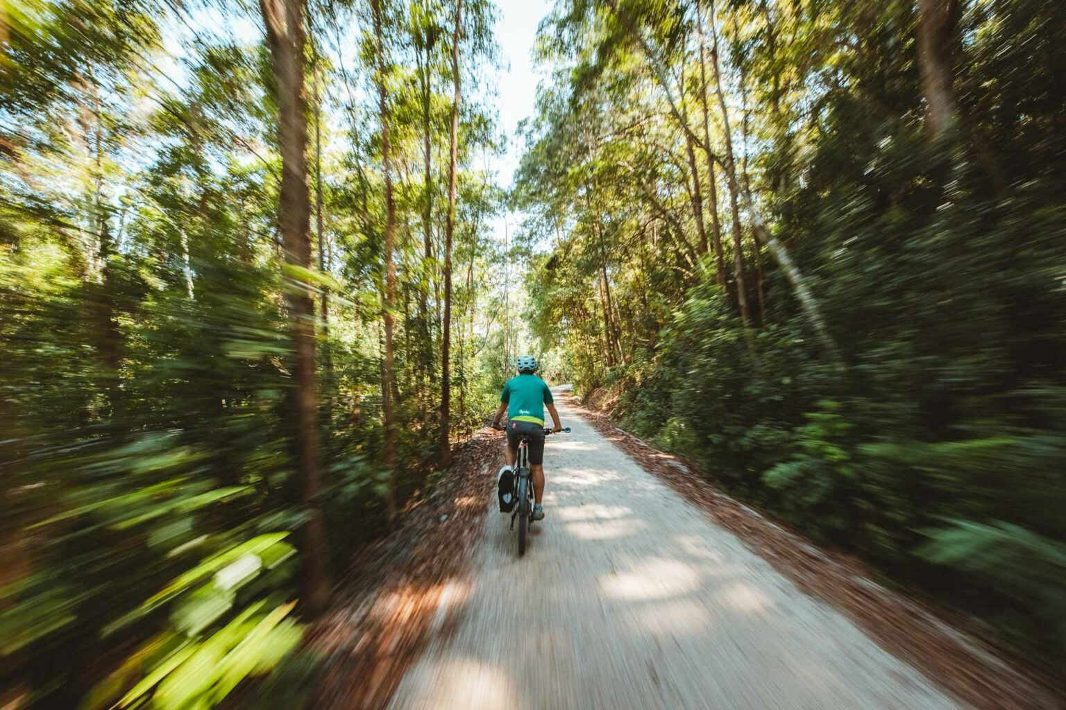 The Northern Rivers Rail Trail – Australia’s Newest Cycling Route - We ...