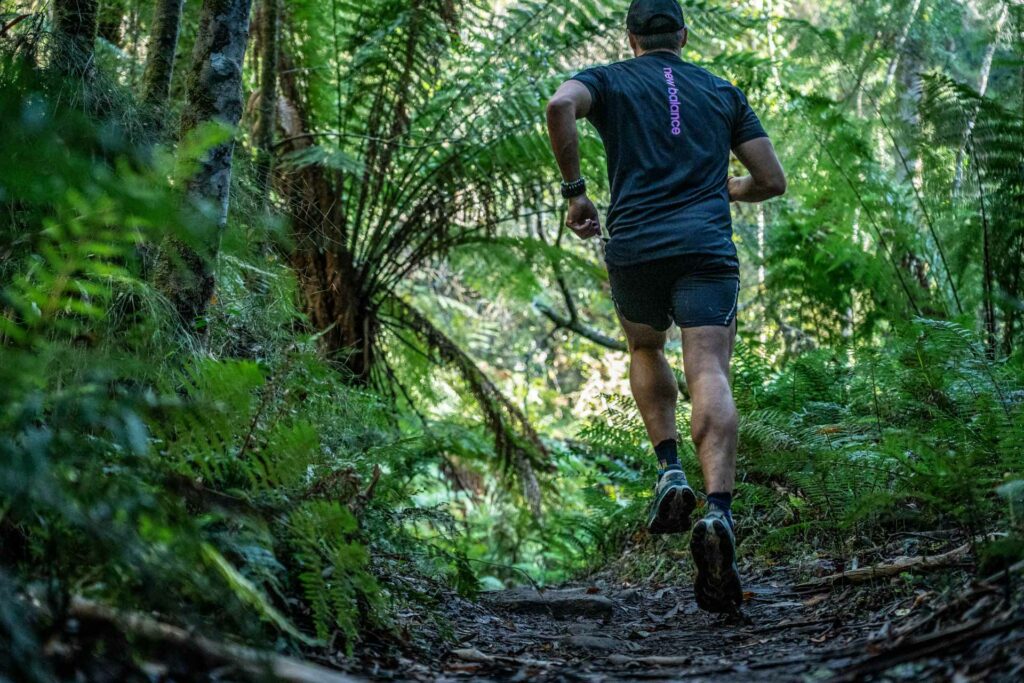 13 Trails and Waterfalls in the Otways, Victoria - We Are Explorers
