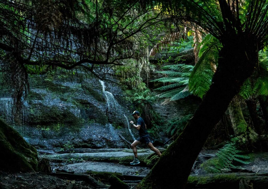 13 Trails and Waterfalls in the Otways, Victoria - We Are Explorers