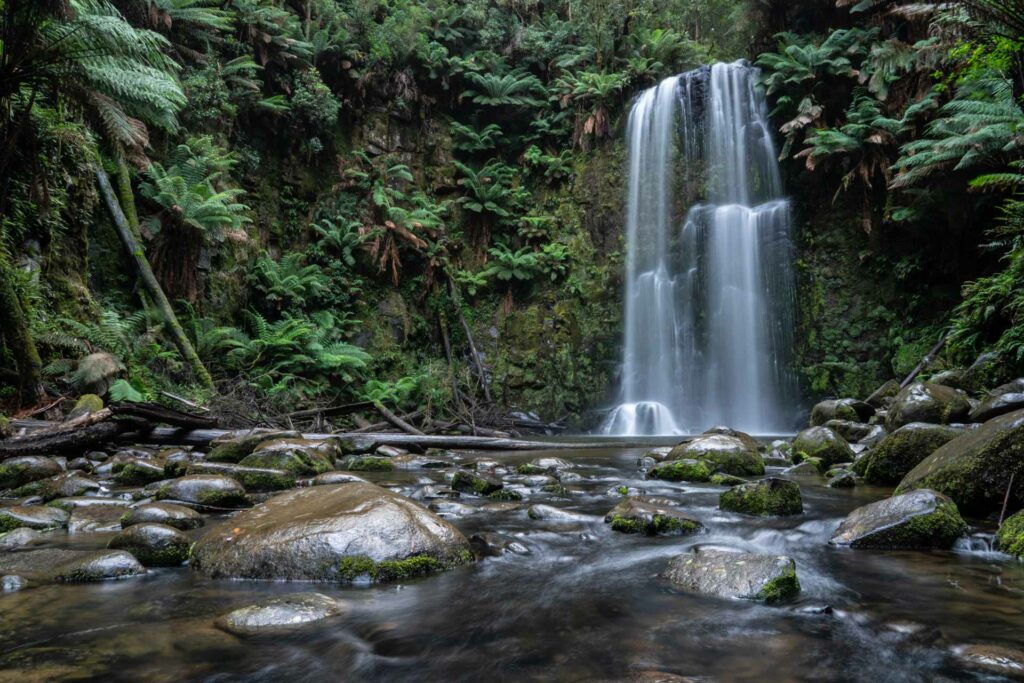 13 Trails and Waterfalls in the Otways, Victoria - We Are Explorers