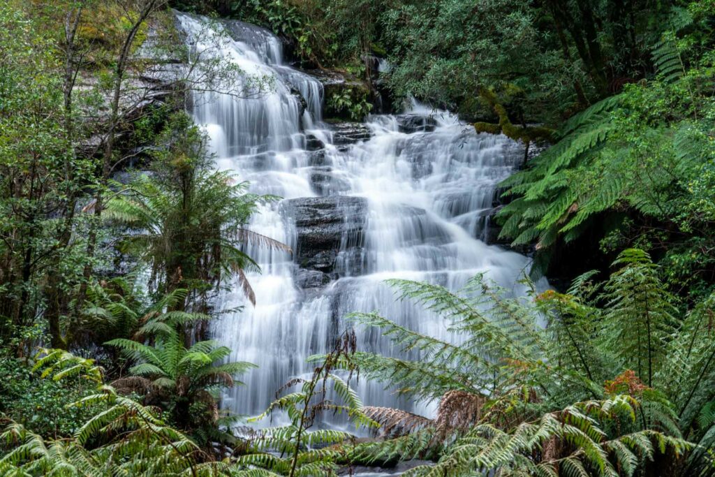 13 Trails and Waterfalls in the Otways, Victoria - We Are Explorers