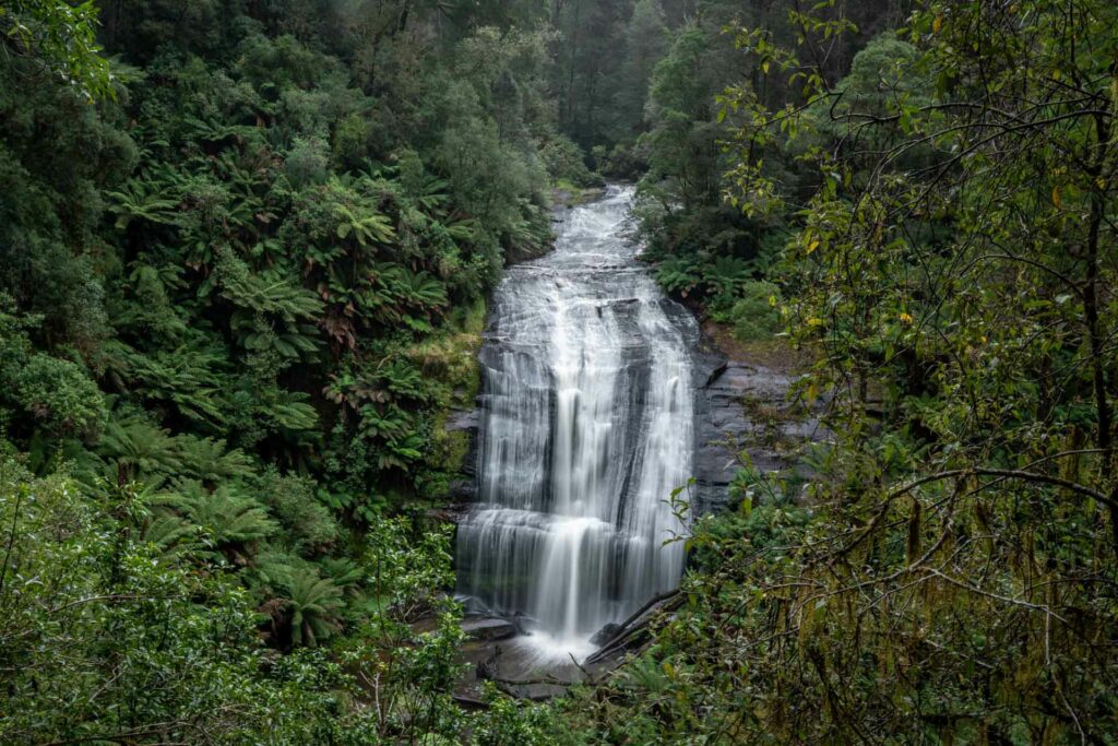 13 Trails and Waterfalls in the Otways, Victoria - We Are Explorers