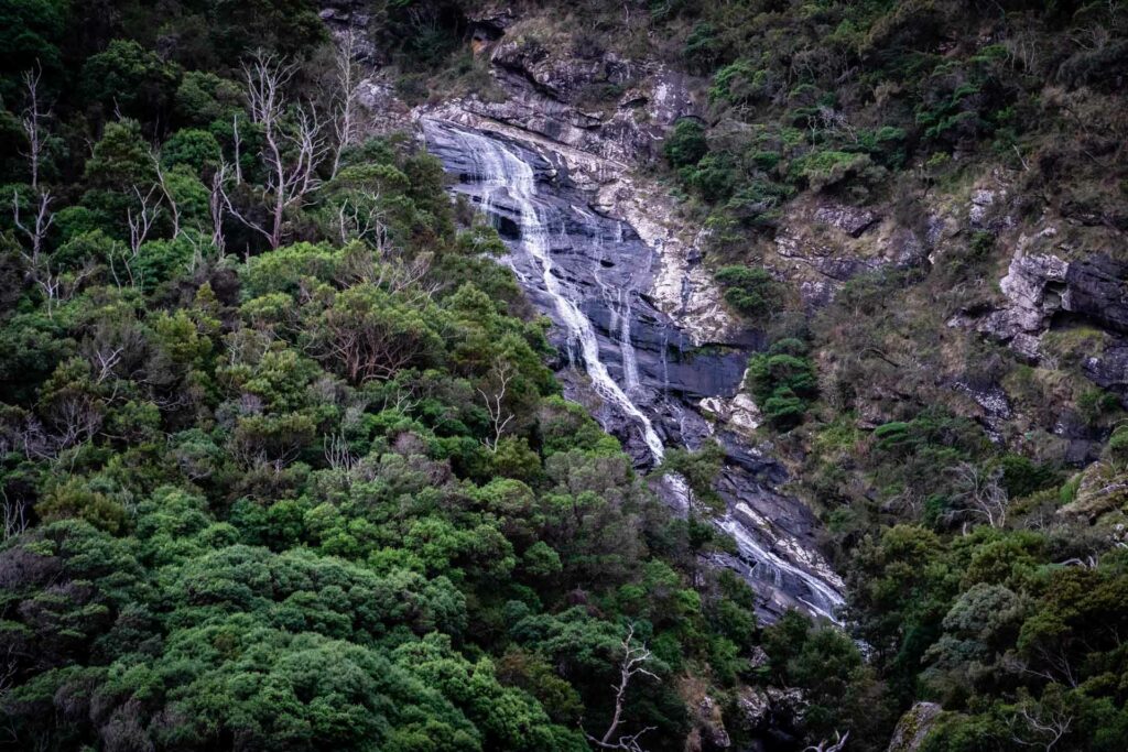 13 Trails and Waterfalls in the Otways, Victoria - We Are Explorers