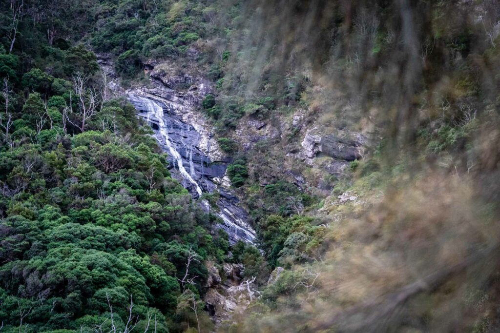 13 Trails and Waterfalls in the Otways, Victoria - We Are Explorers