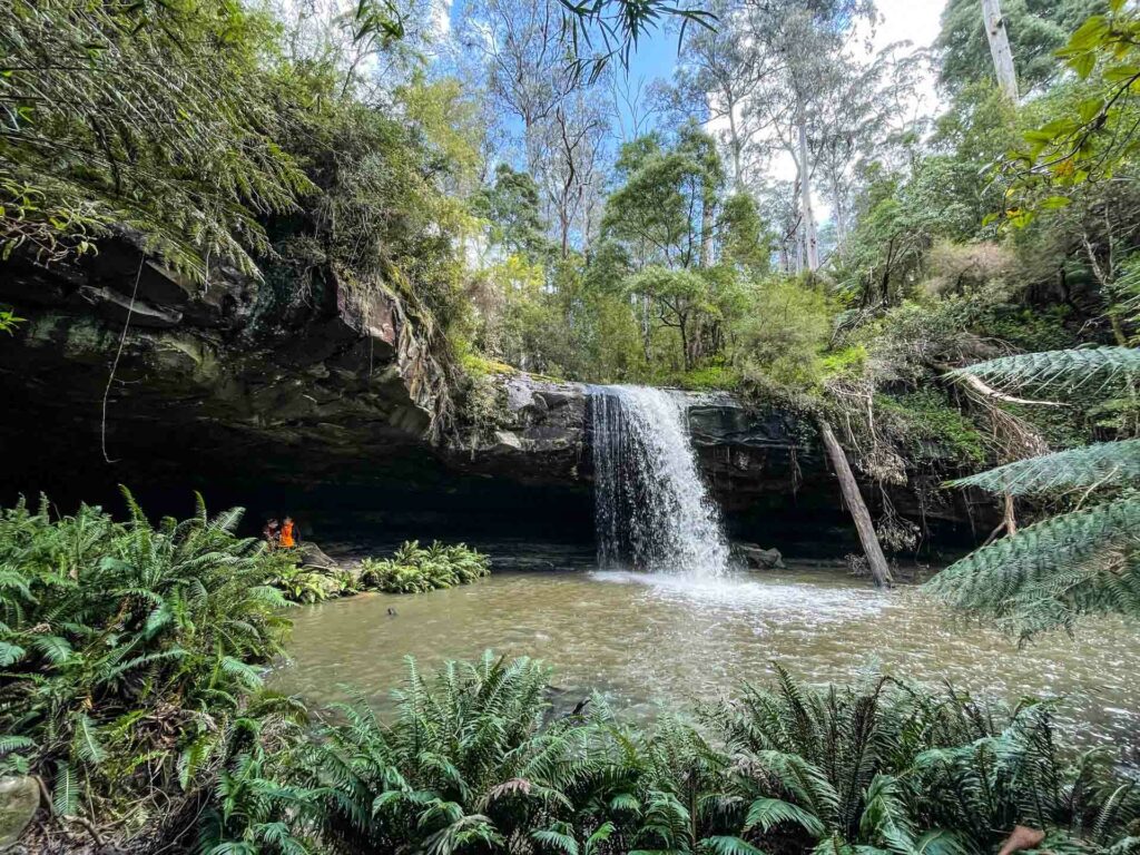 13 Trails and Waterfalls in the Otways, Victoria - We Are Explorers