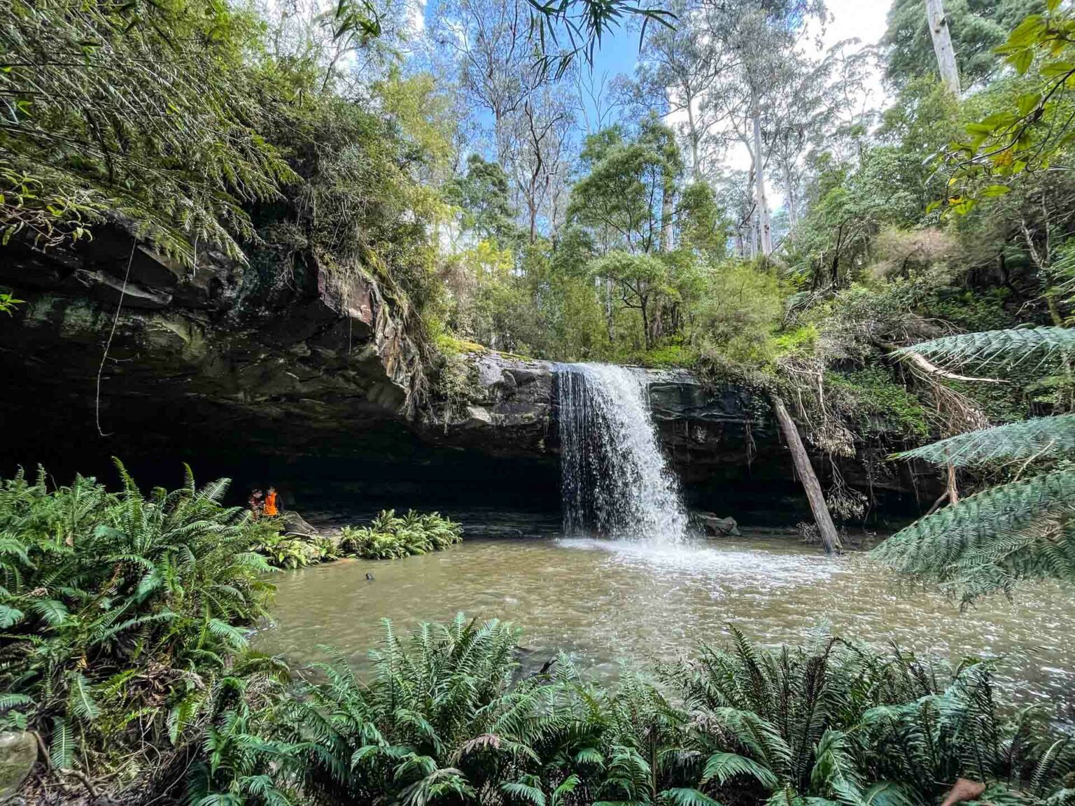 13 Trails and Waterfalls in the Otways, Victoria - We Are Explorers